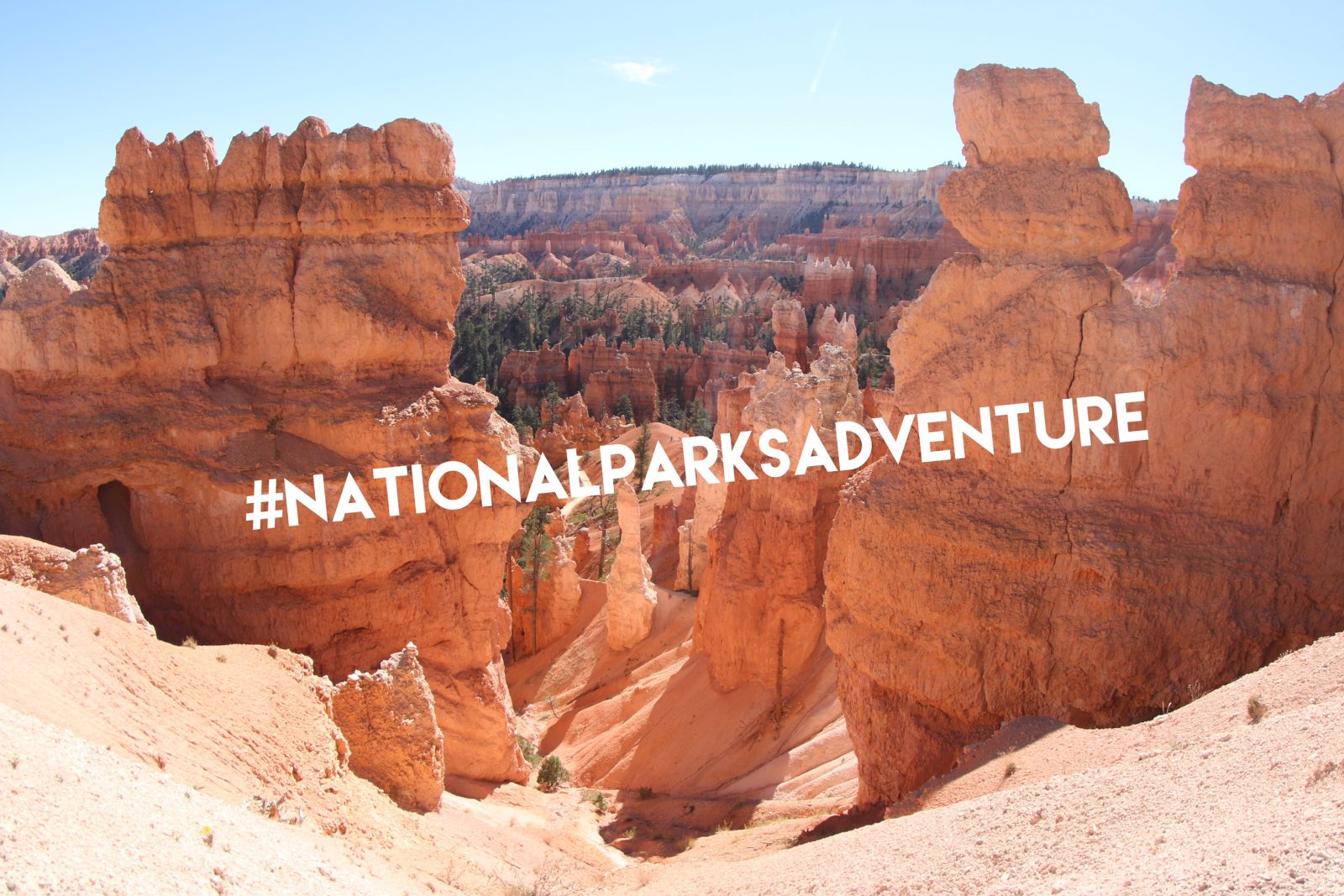 National Parks Adventure à la Géode : un voyage stupéfiant et éblouissant